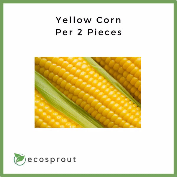 number 2 yellow corn