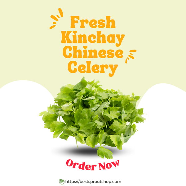 Fresh Kinchay | Chinese Celery For Delivery Near Me – Ecosprout