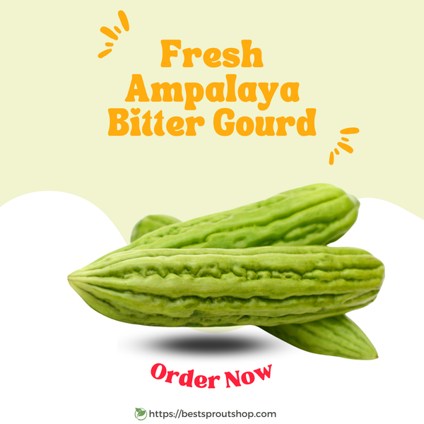 Buy Fresh Ampalaya (Bitter Melon) Online | Metro Manila Delivery ...