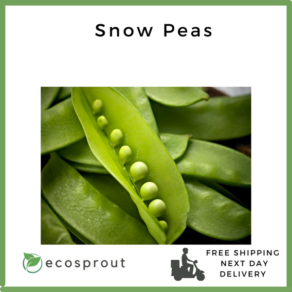 Snow Peas For Delivery Near Me – Ecosprout
