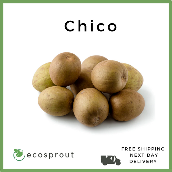 Fresh Chico For Delivery Near Me – Ecosprout