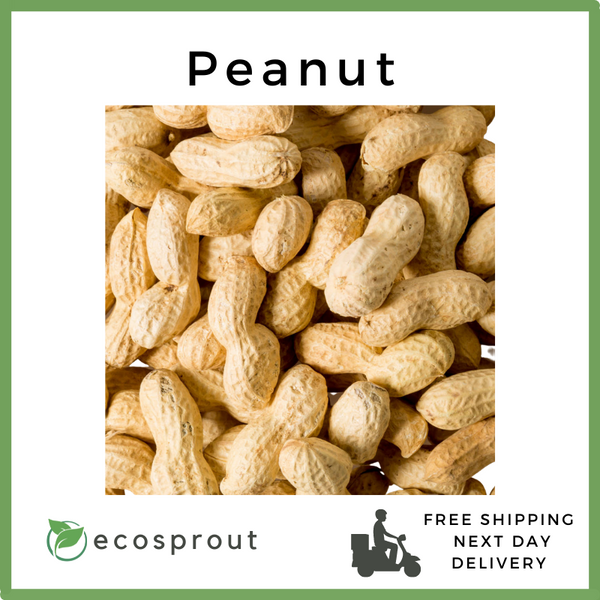 Fresh Peanut For Delivery Near Me – Ecosprout