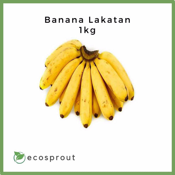 Fresh Banana Lakatan For Delivery Near Me – Ecosprout