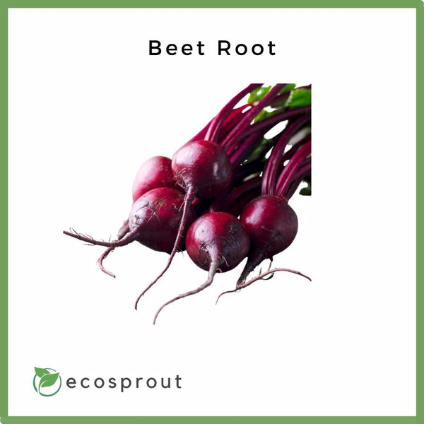 Fresh Beet Root For Delivery – Ecosprout