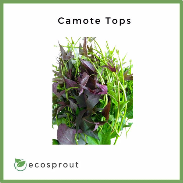 Fresh Camote Tops For Delivery Near Me – Ecosprout