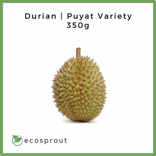 Fresh Durian For Delivery Near Me – Ecosprout
