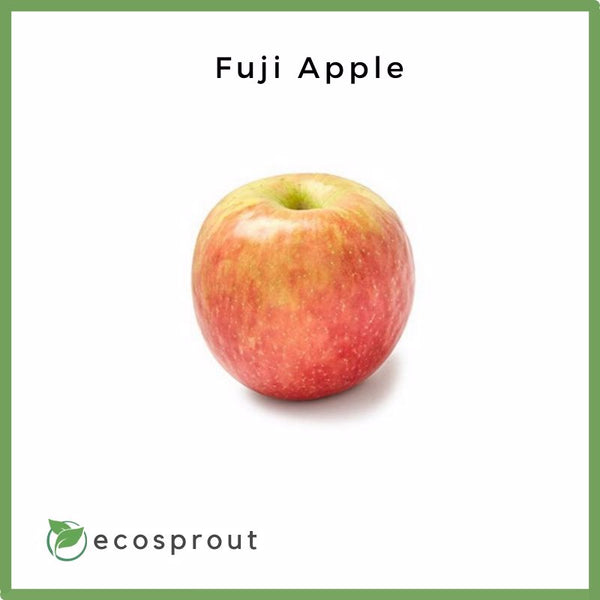 Fresh Fuji Apple For Delivery Near Me – Ecosprout