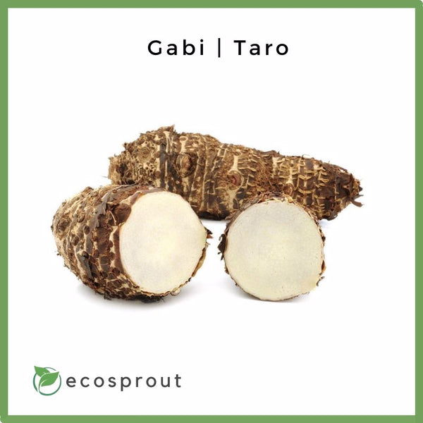 Fresh Gabi For Delivery Near Me – Ecosprout