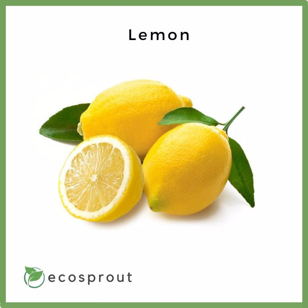 Fresh Lemon For Delivery Near Me – Ecosprout