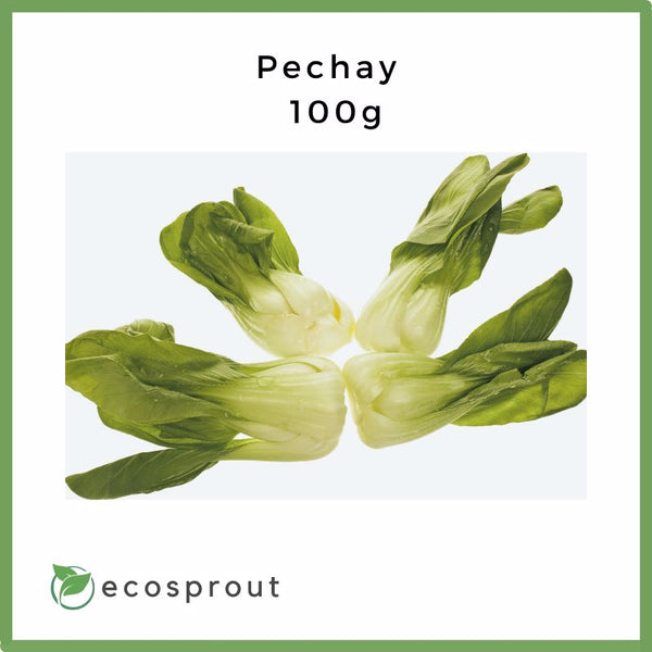 Fresh Pechay For Delivery Near Me – Ecosprout