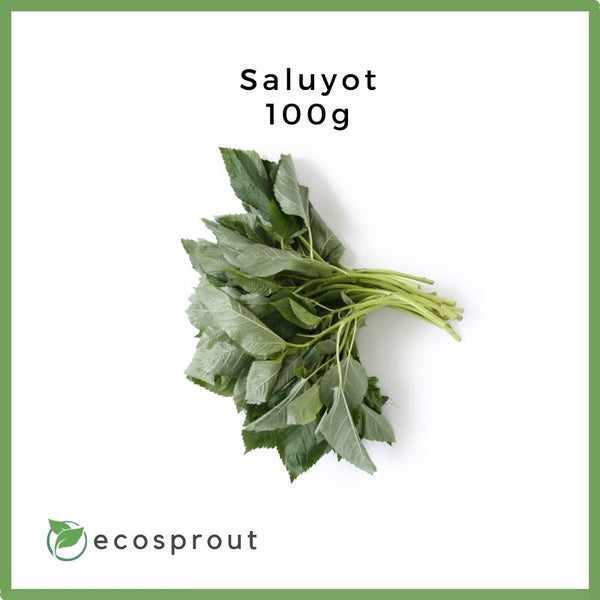 The Amazing Facts To Know About Saluyot – TASEAL