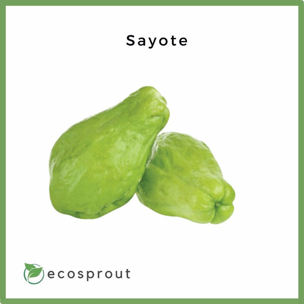 Fresh Sayote For Delivery – Ecosprout