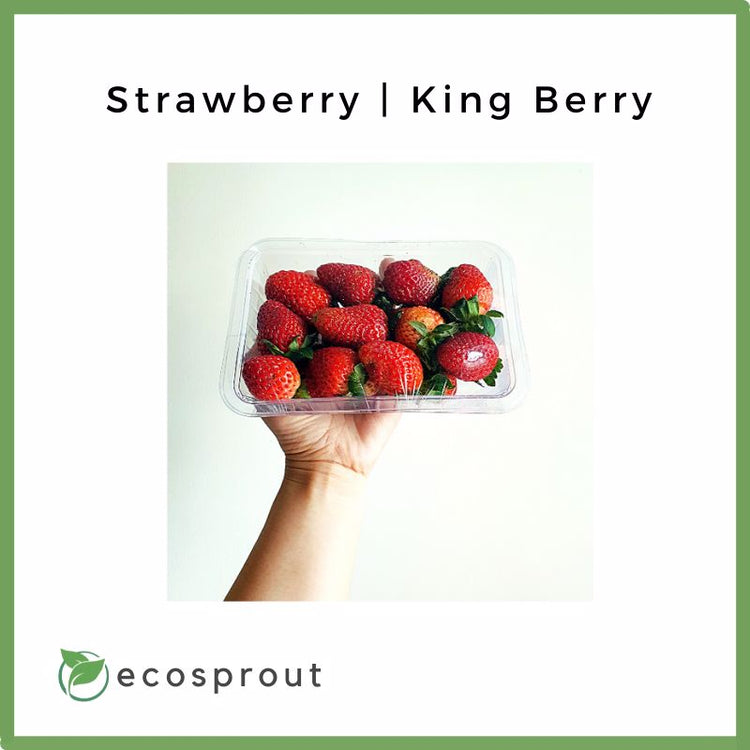 Fresh Strawberries For Delivery Near Me Ecosprout