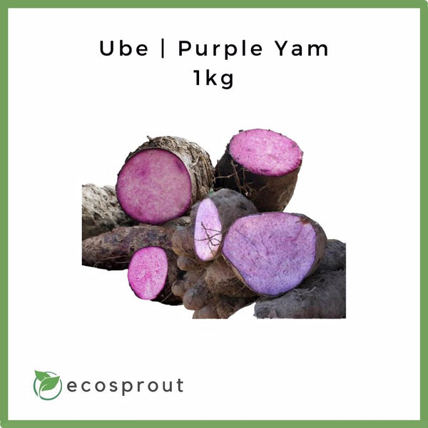 Fresh Ube For Delivery Near Me – Ecosprout